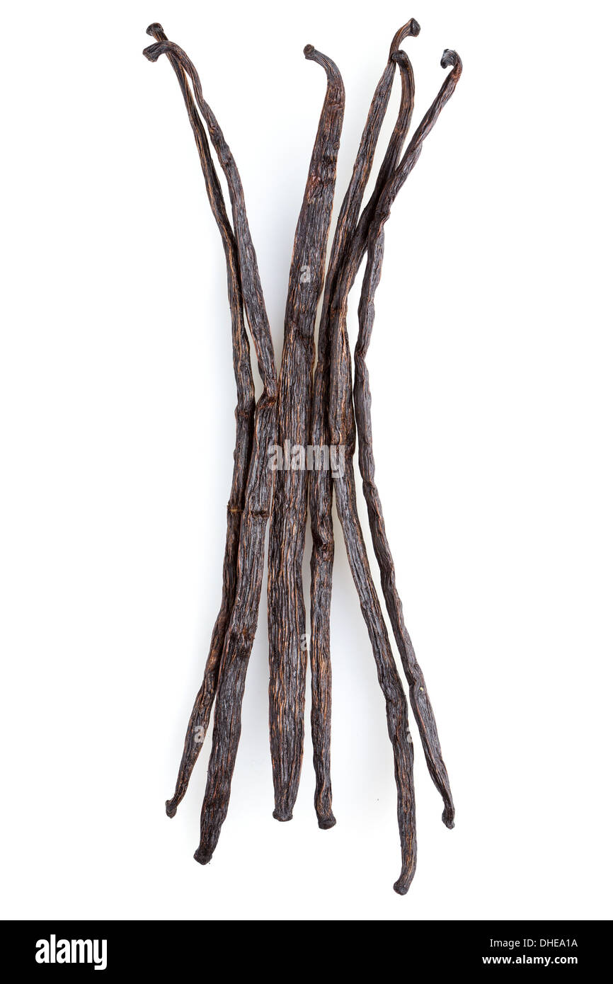 Vanilla beans isolated on white background Stock Photo - Alamy