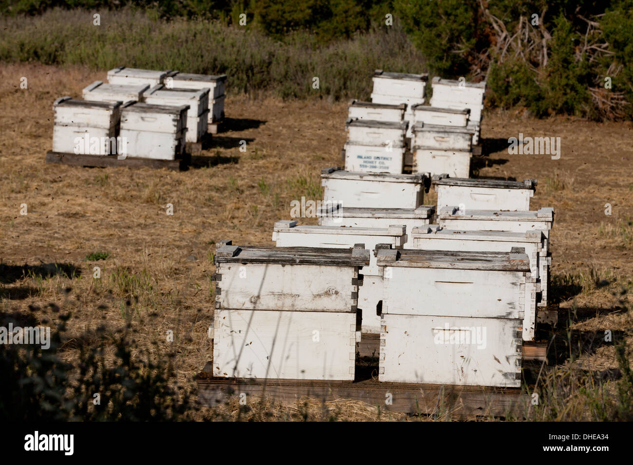 Beehives hi-res stock photography and images - Alamy
