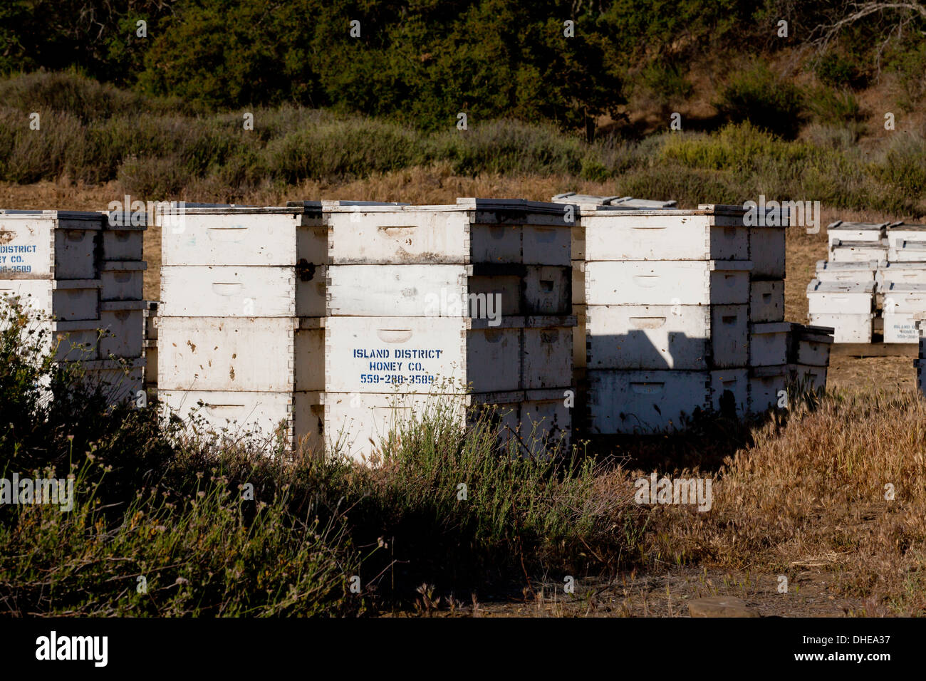 Beehives hi-res stock photography and images - Alamy