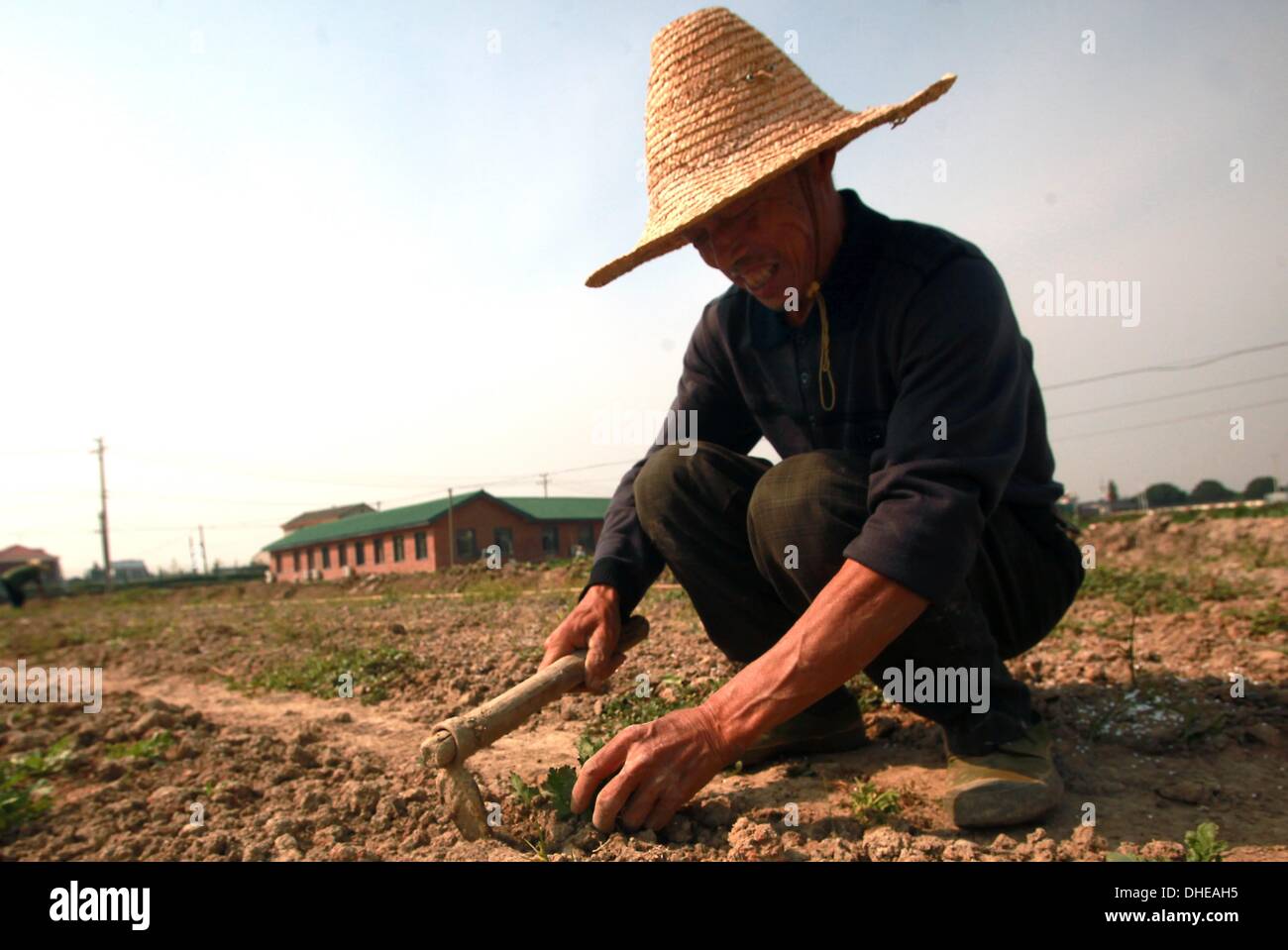Changsha, HUNAN PROVINCE, CHINA, . 7th Nov, 2013. A Chinese farmer ...