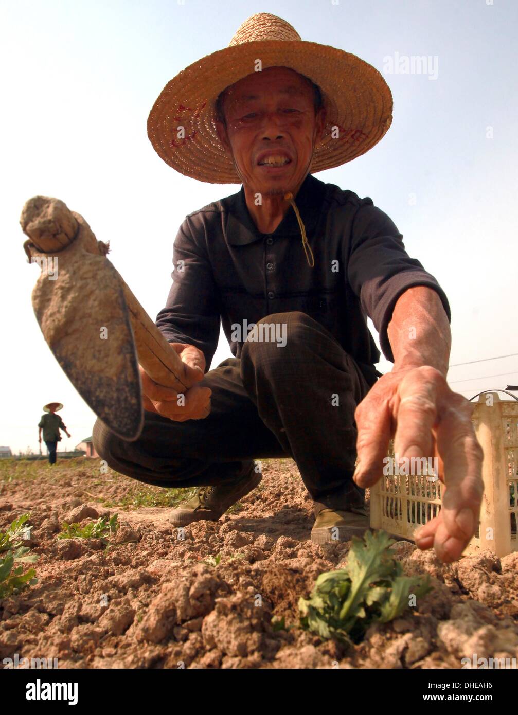 Changsha, HUNAN PROVINCE, CHINA, . 7th Nov, 2013. A Chinese farmer ...