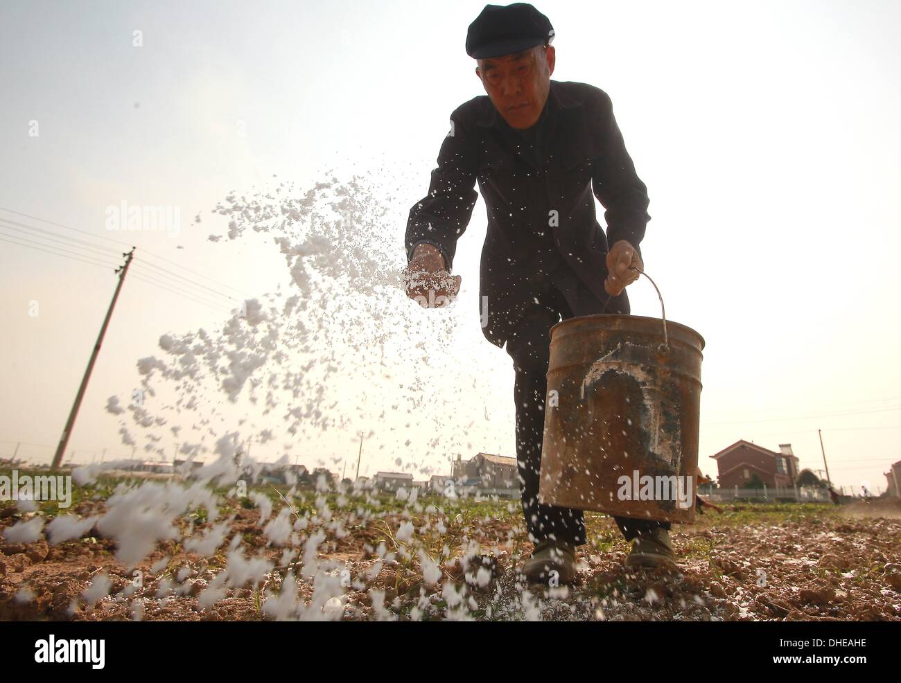 Changsha, HUNAN PROVINCE, CHINA, . 7th Nov, 2013. Chinese farmers work ...