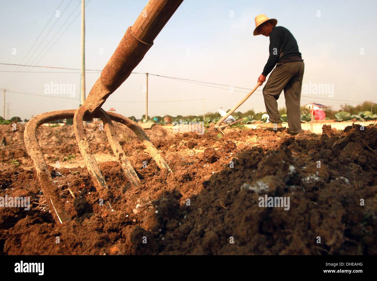 Changsha, HUNAN PROVINCE, CHINA, . 8th Nov, 2013. Chinese farmers work ...