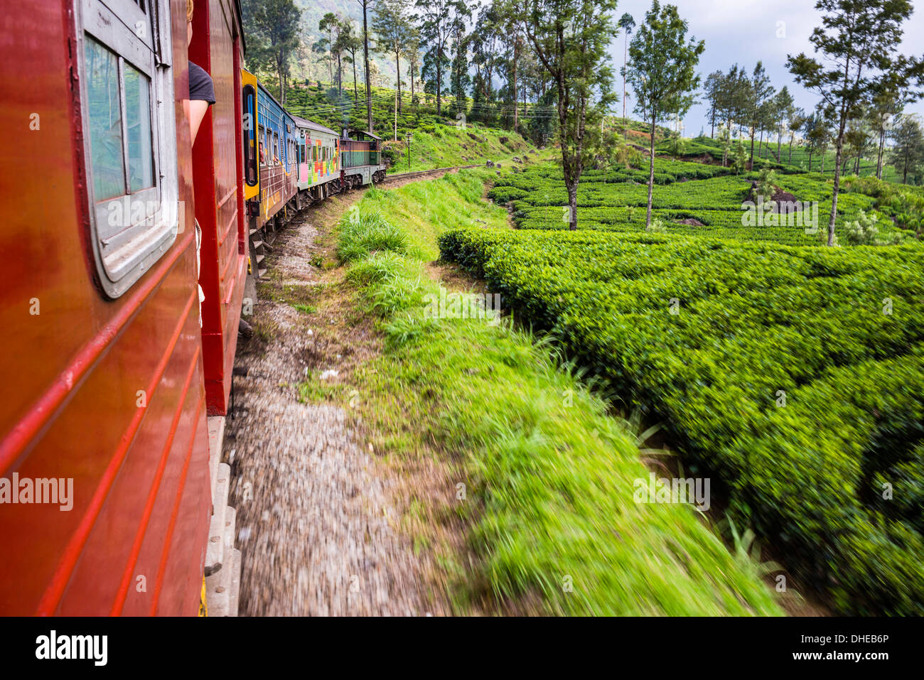 Train journey through tea plantations, Haputale, Sri Lanka Hill Country ...