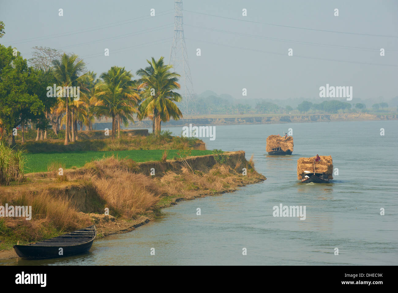 Transporting rice india hi-res stock photography and images - Alamy