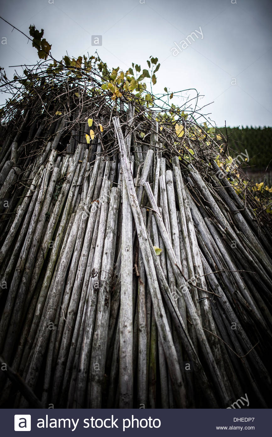 Deforestation Vertical Stock Photos & Deforestation Vertical Stock ...