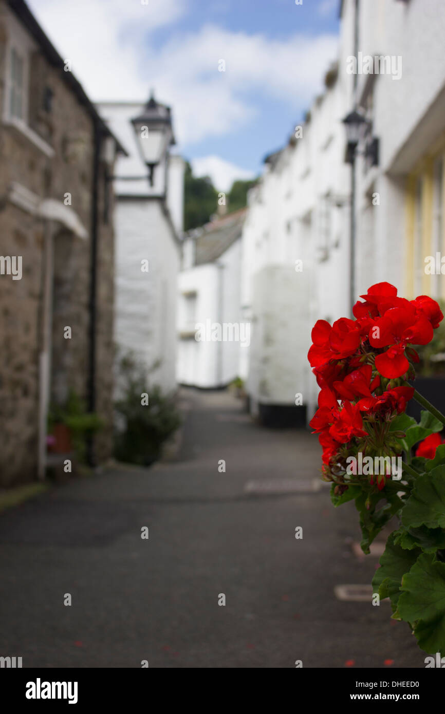 Narrow street in Polperro, a picturesque village and fishing harbour ...