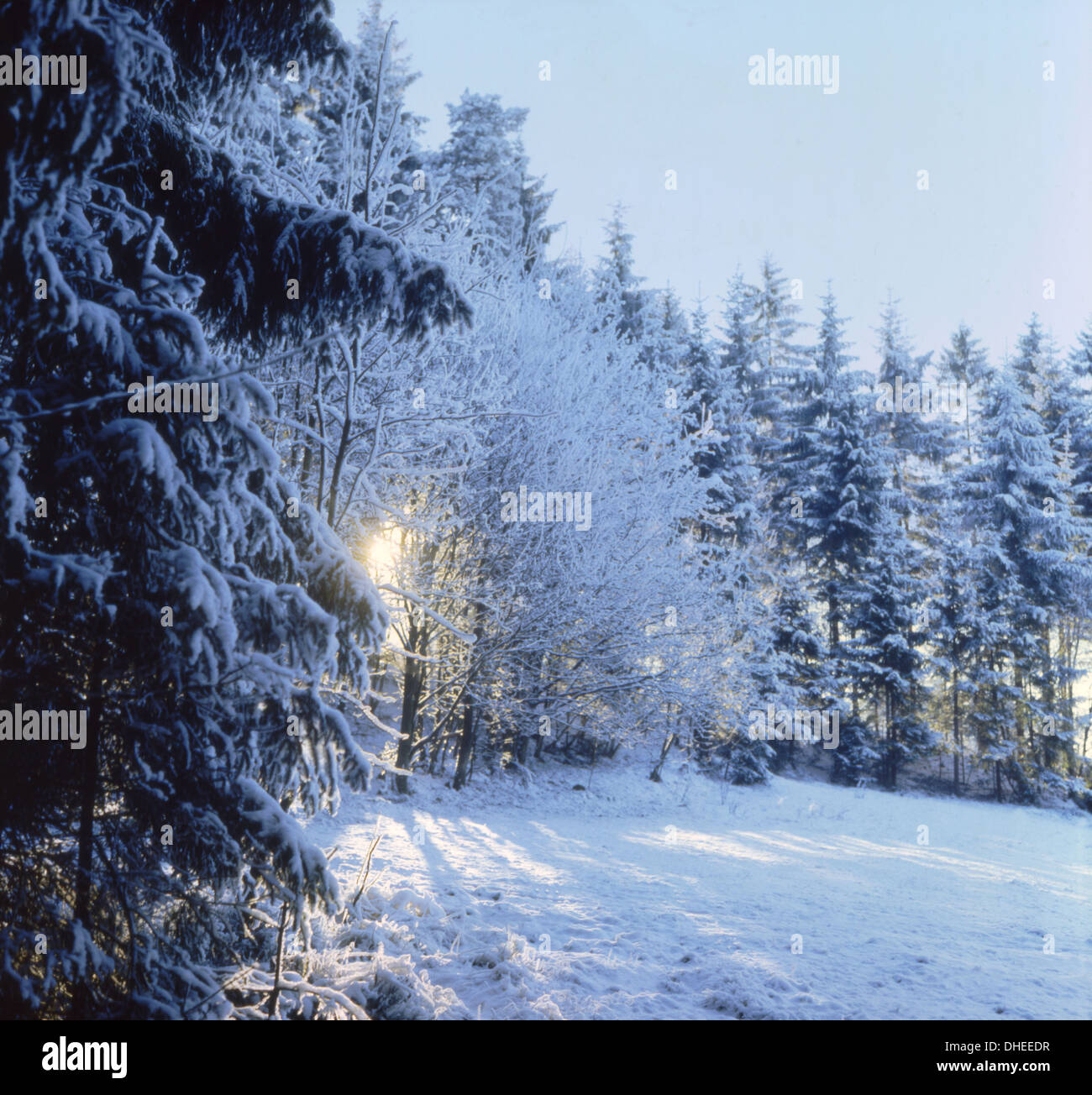 Thuringian slate mountains hi-res stock photography and images - Alamy