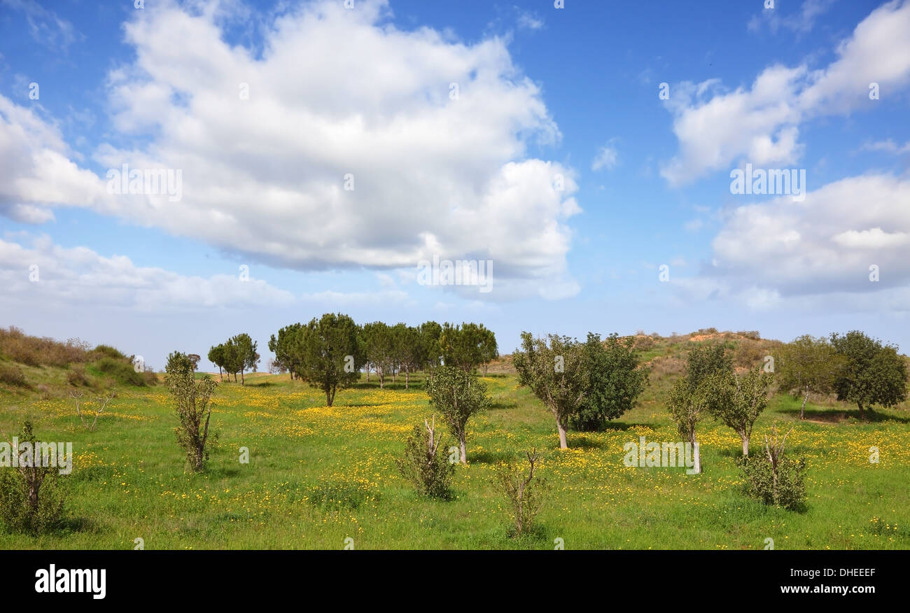Rural sky sky hi-res stock photography and images - Alamy