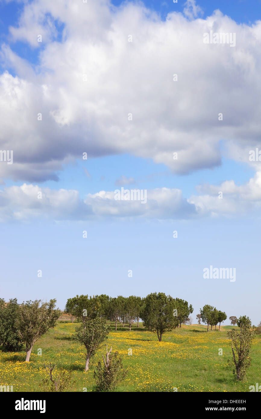 Green field trees hi-res stock photography and images - Alamy