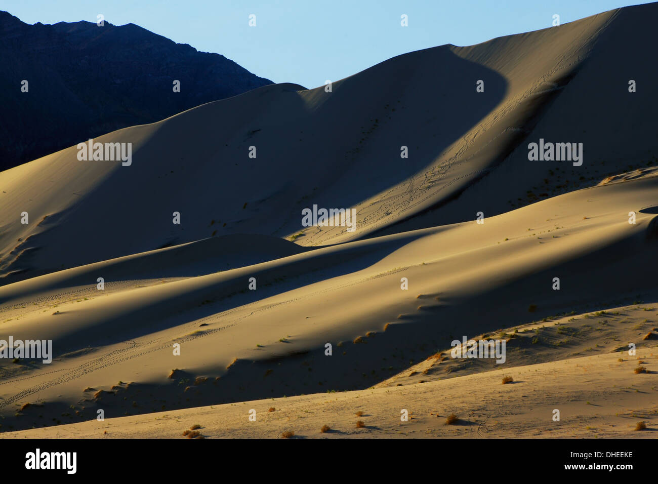 Shades on yellow sand hi-res stock photography and images - Alamy