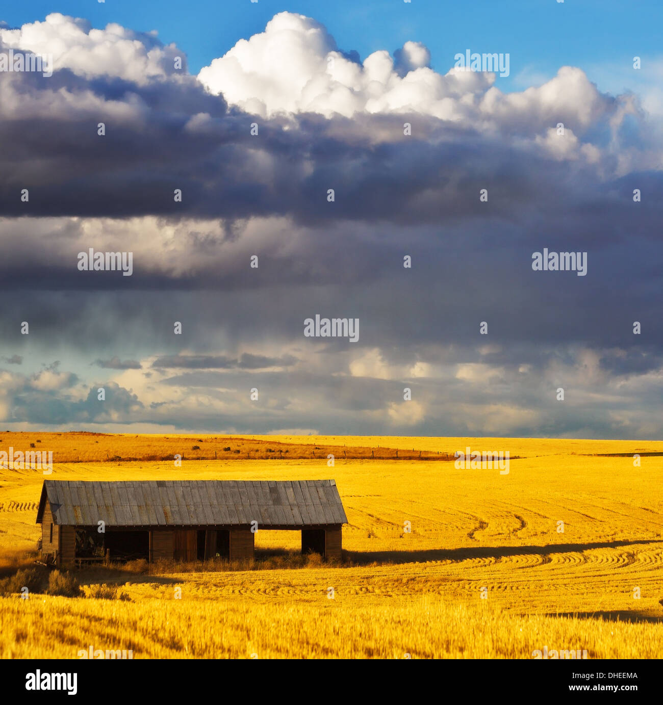 Empty field hi-res stock photography and images - Alamy