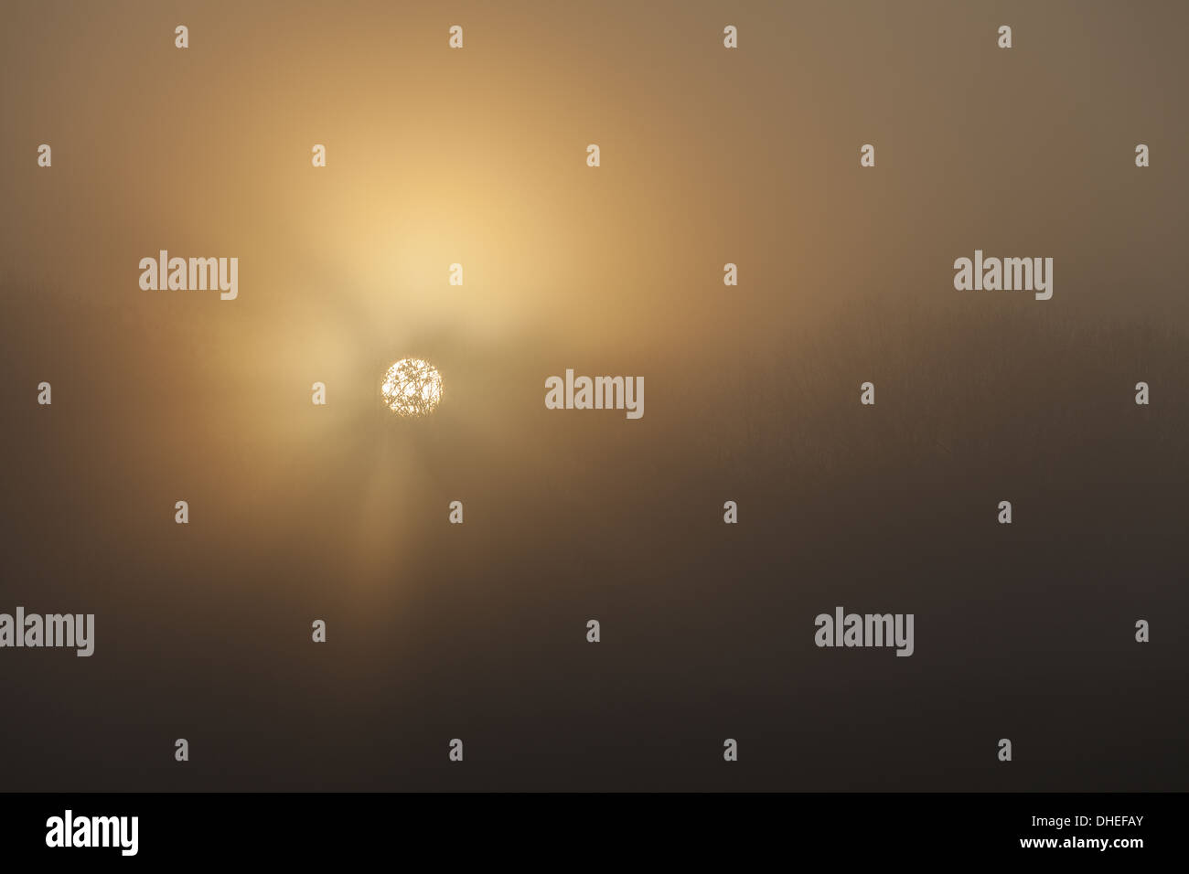 April morning hi-res stock photography and images - Alamy