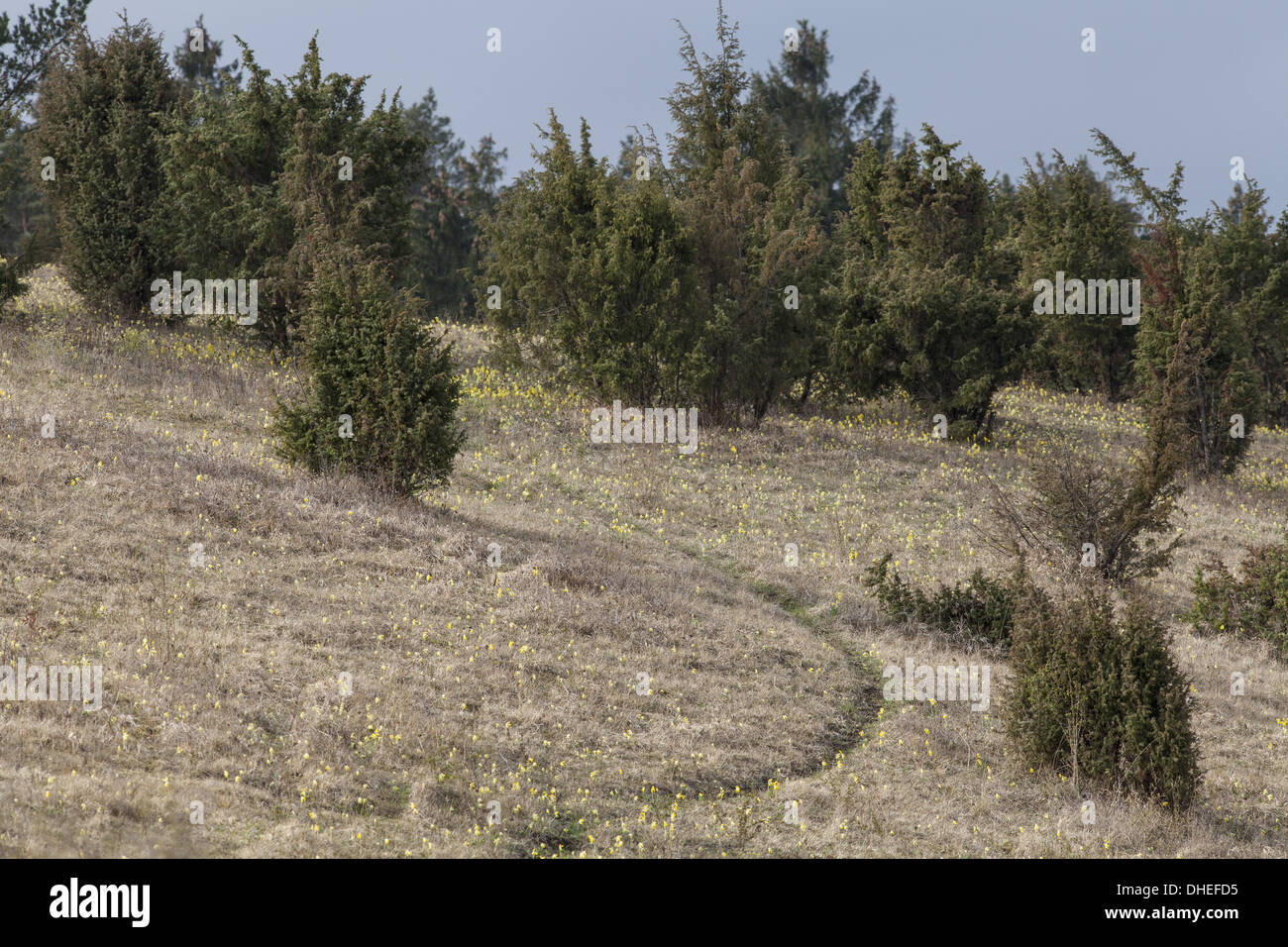 Transverse slope hi-res stock photography and images - Alamy