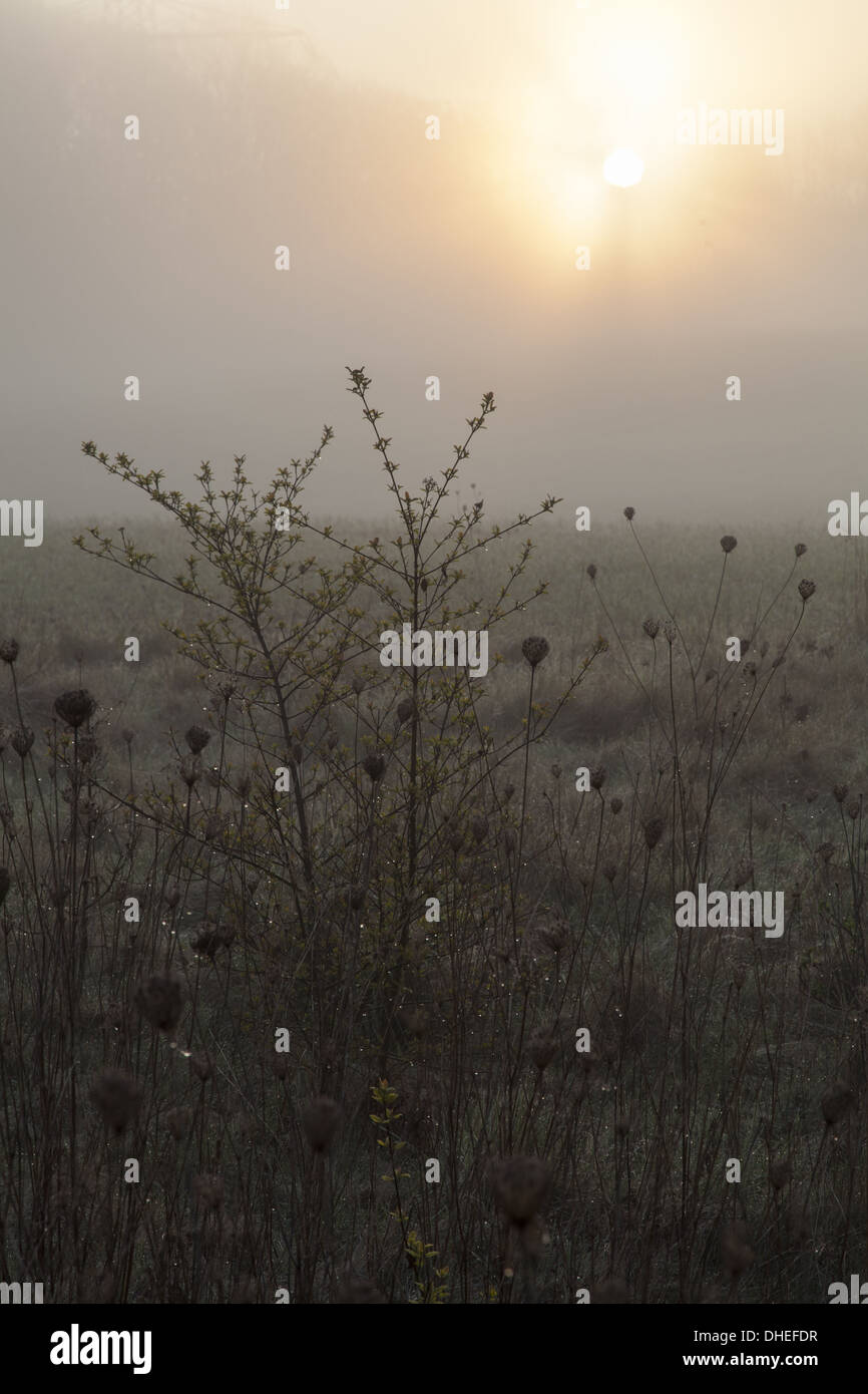 April morning hi-res stock photography and images - Alamy