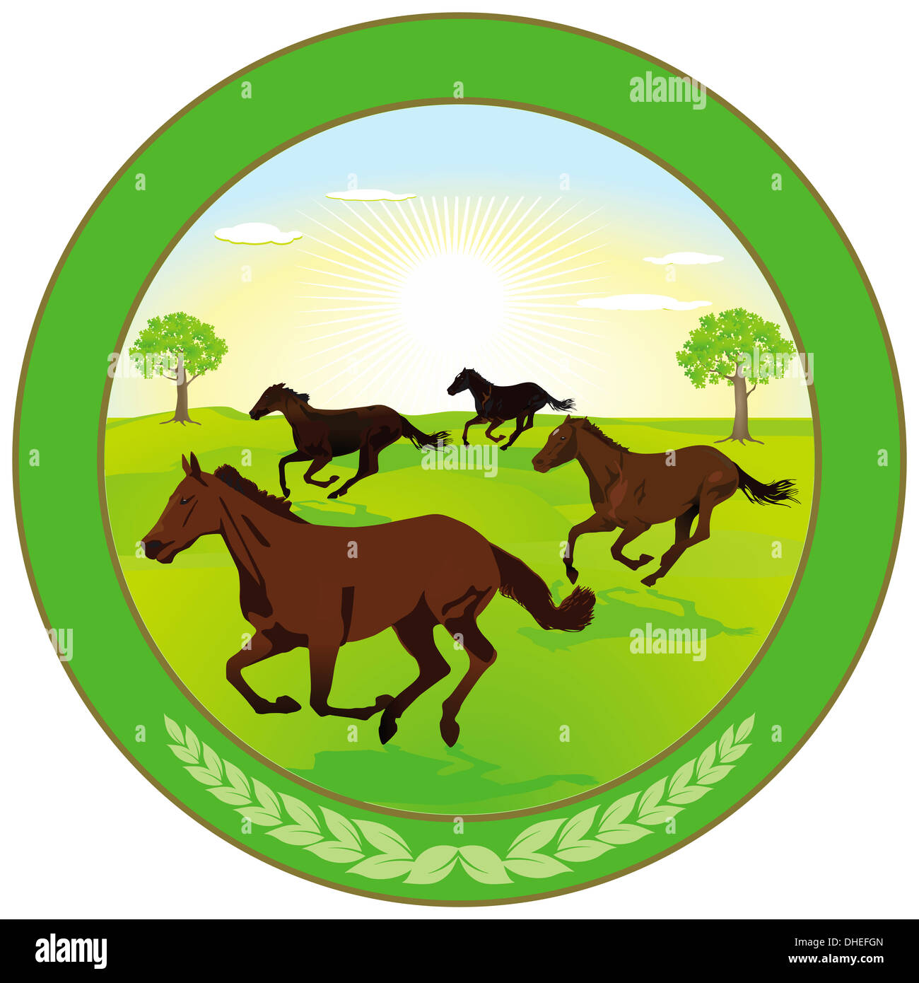 Breeding horse hi-res stock photography and images - Alamy