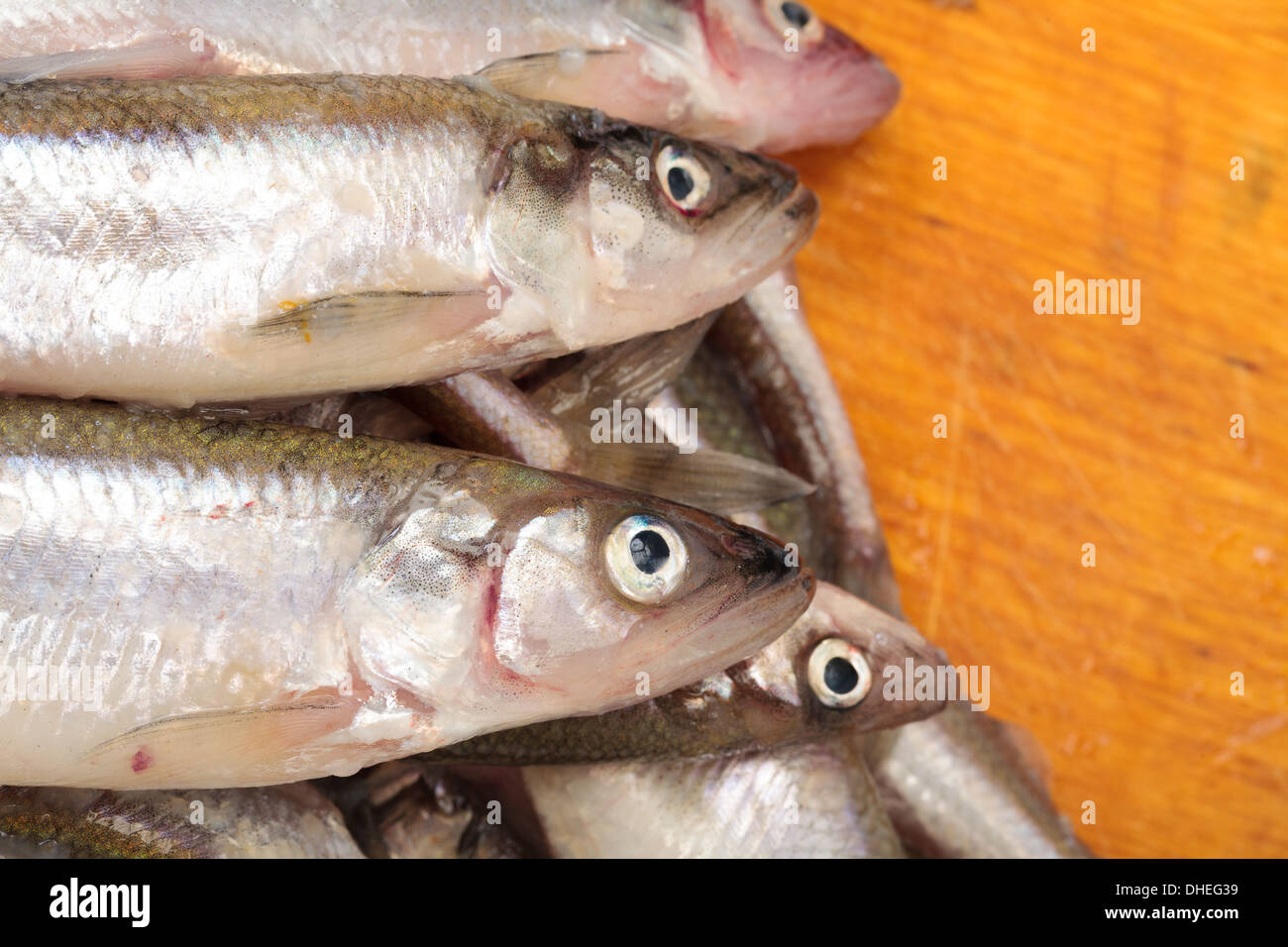 Fresh smelts fish Stock Photo - Alamy