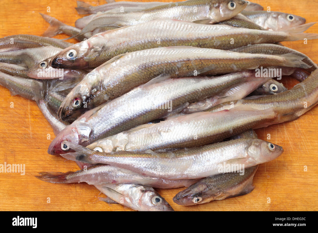Fresh smelts fish Stock Photo - Alamy