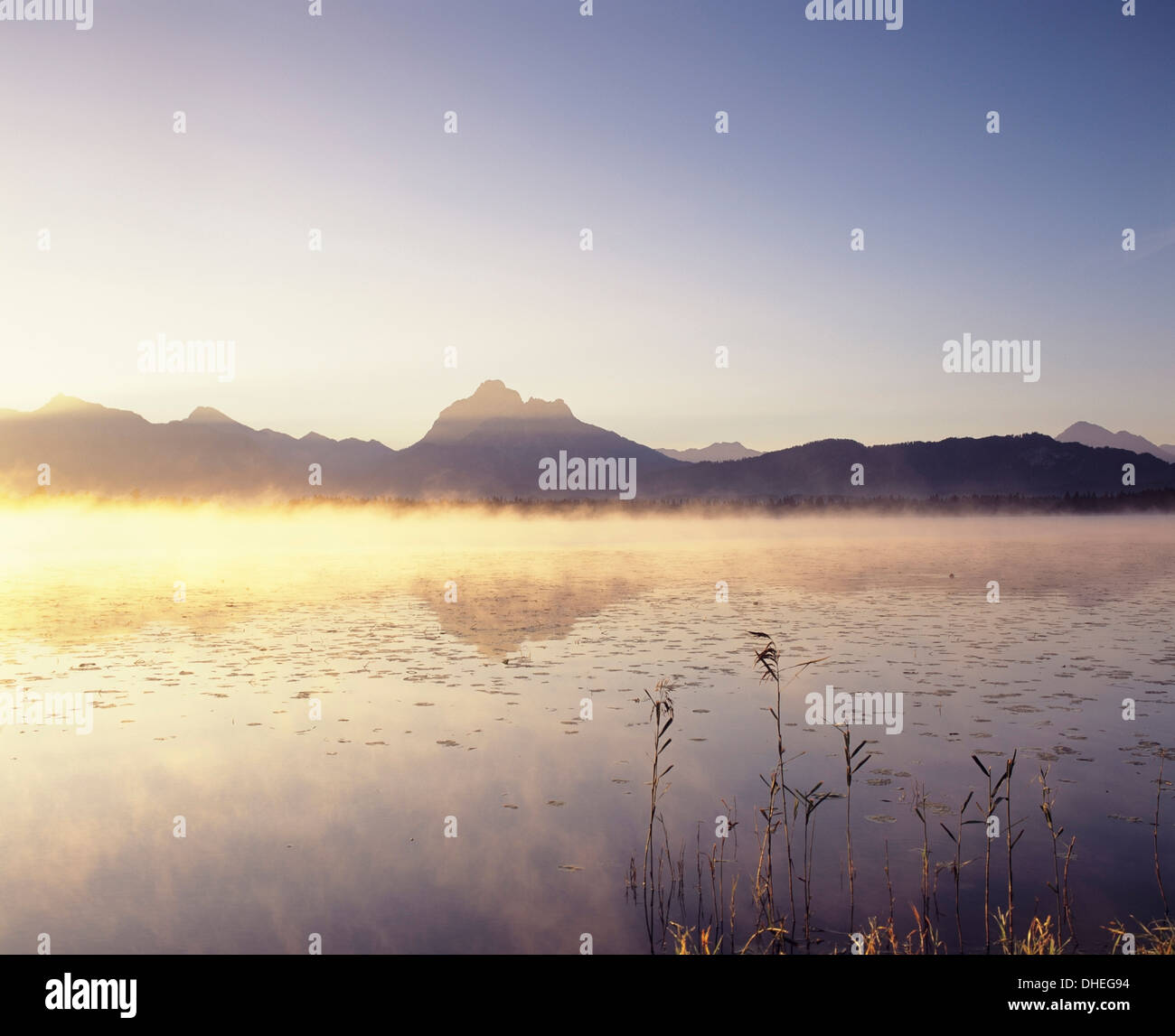 Allgau Alps reflecting in Hopfensee Lake at sunrise, near Fussen ...