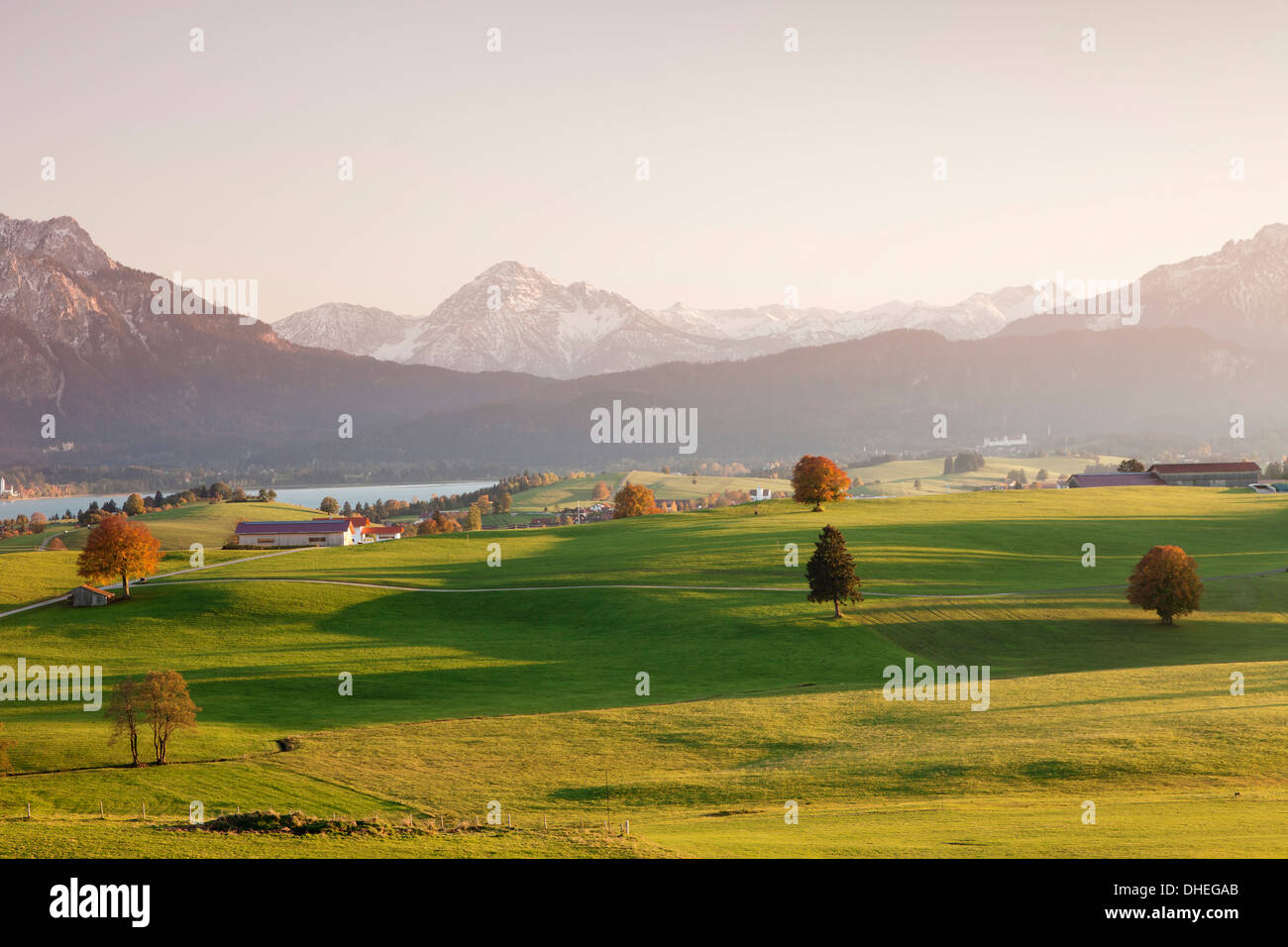Forggensee and allgau alps hi-res stock photography and images - Alamy