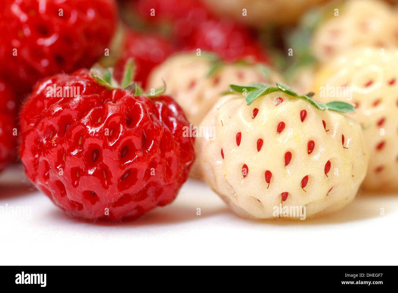 Albino strawberries hi-res stock photography and images - Alamy