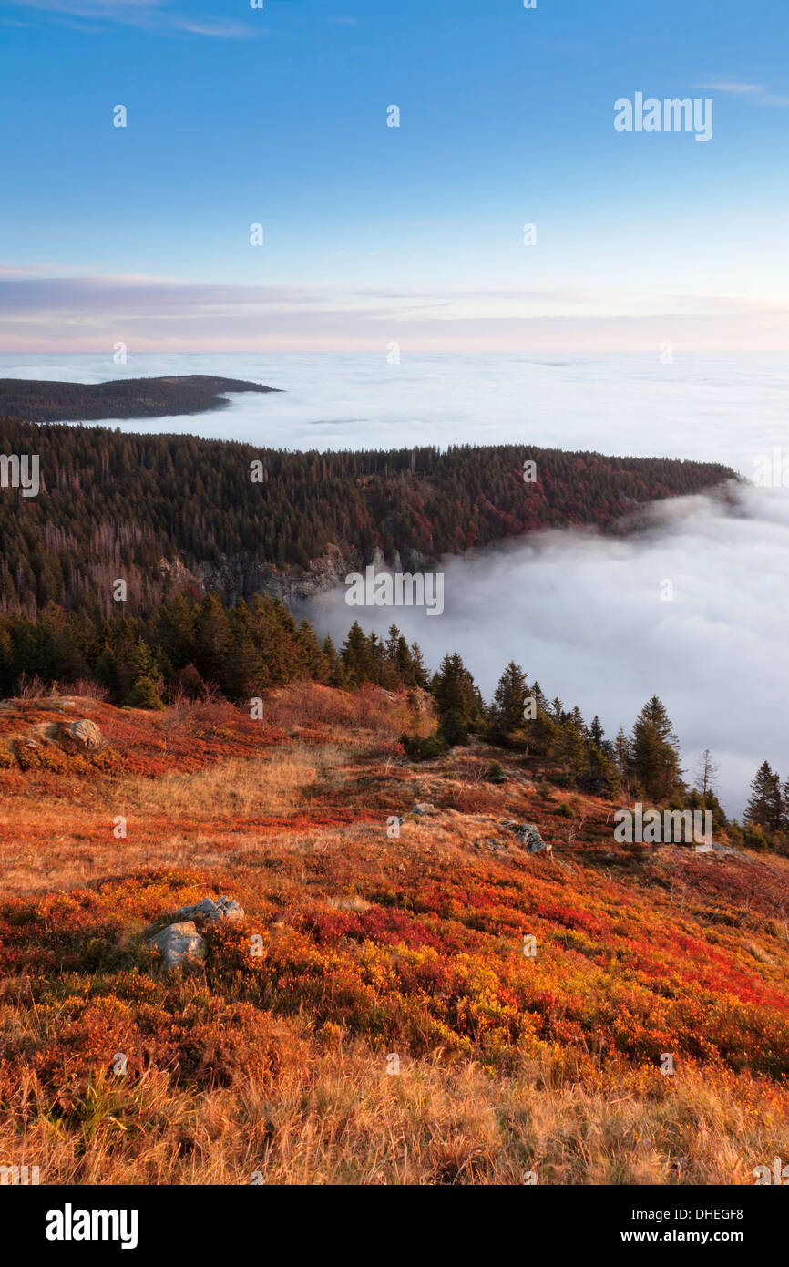 The feldberg mountain hi-res stock photography and images - Alamy
