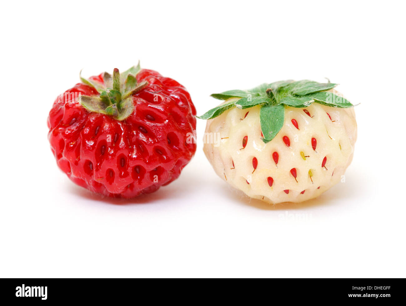 Albino strawberries hi-res stock photography and images - Alamy