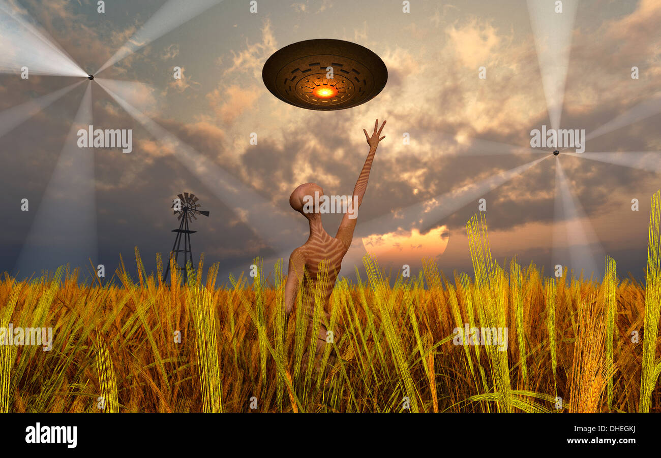 The Truth Behind The Making Of Crop Circles Stock Photo - Alamy