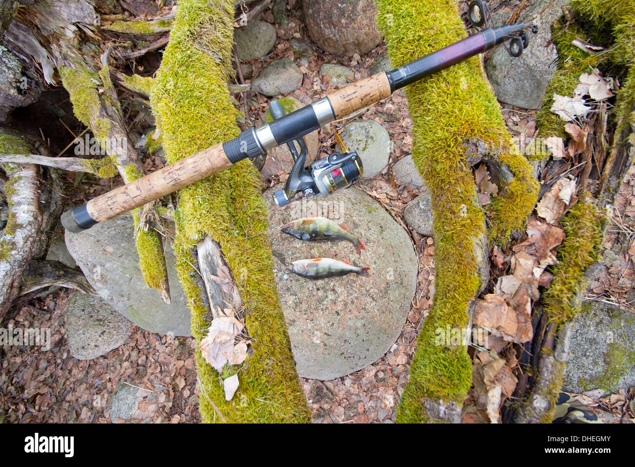 Perch lake hi-res stock photography and images - Alamy