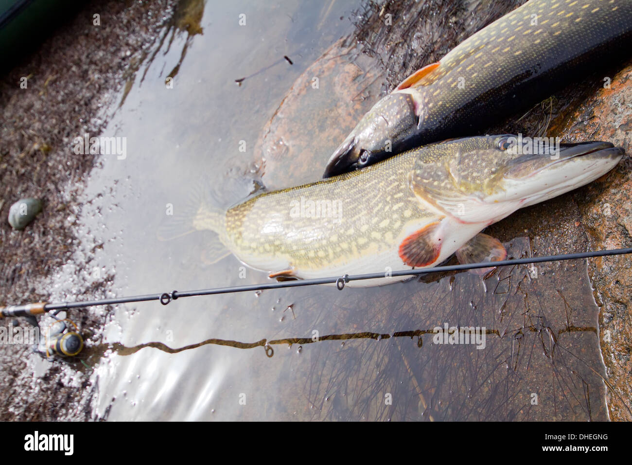 Jackfish lure hi-res stock photography and images - Alamy