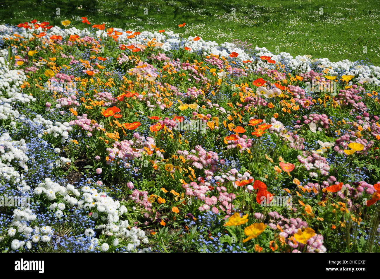 Tee and plants hi-res stock photography and images - Alamy