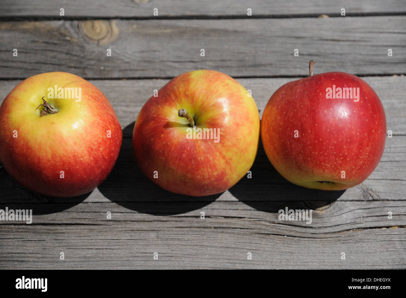 Jonagold hi-res stock photography and images - Alamy