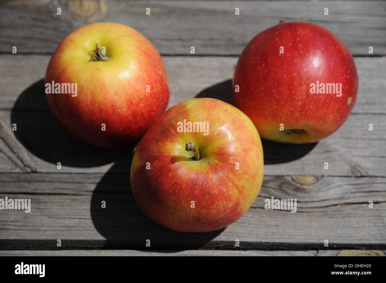 Jonagold apples hi-res stock photography and images - Alamy