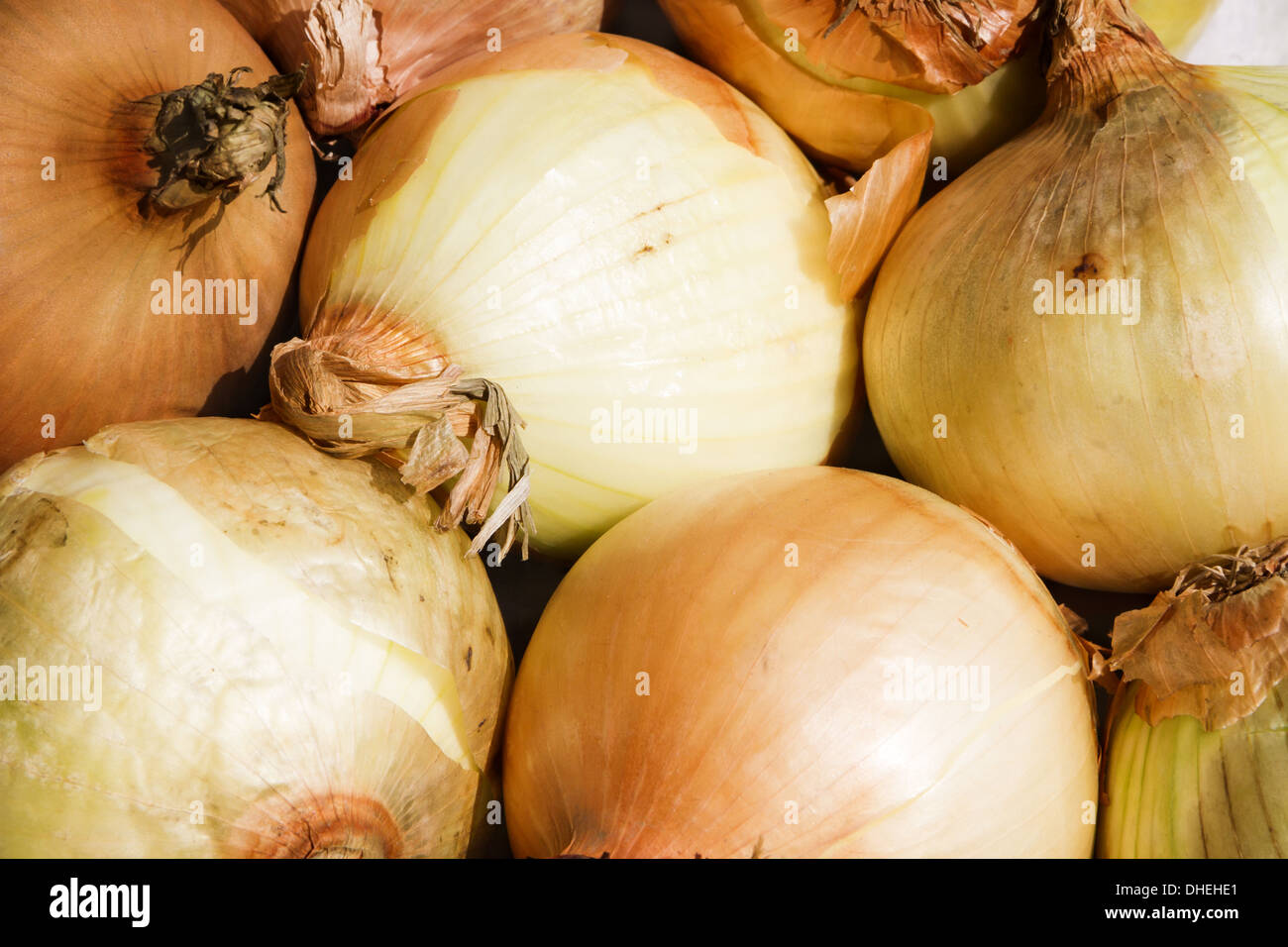 Muster dinner hi-res stock photography and images - Alamy