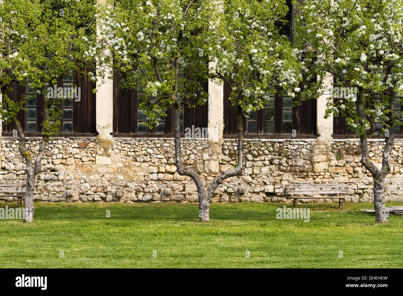 Limonaia hi-res stock photography and images - Alamy