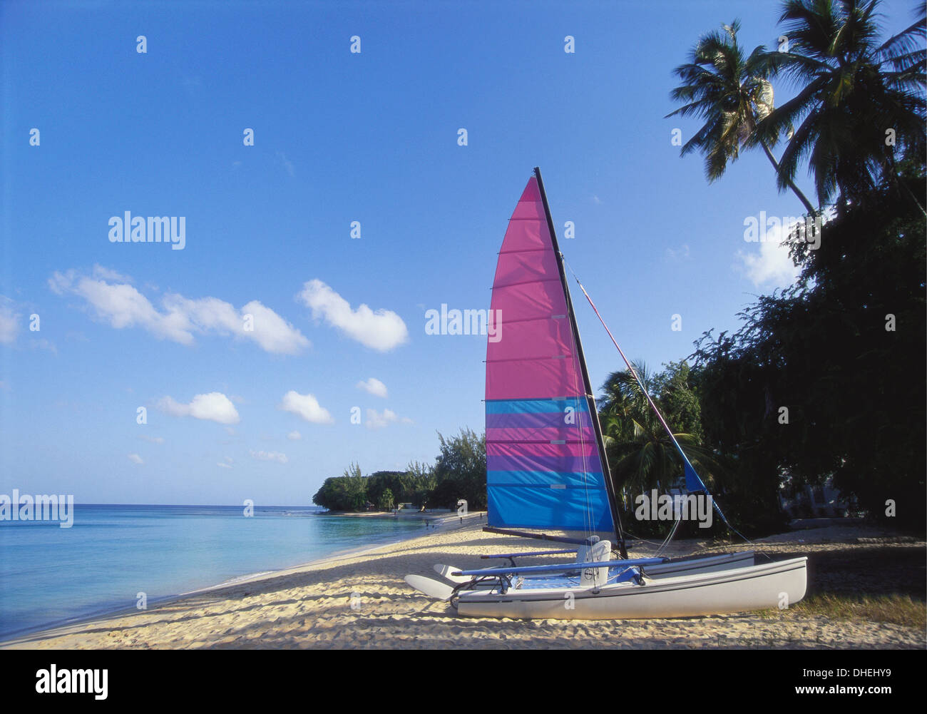 Sailing Boat on Paynes Bay, Barbados, Caribbean Stock Photo - Alamy