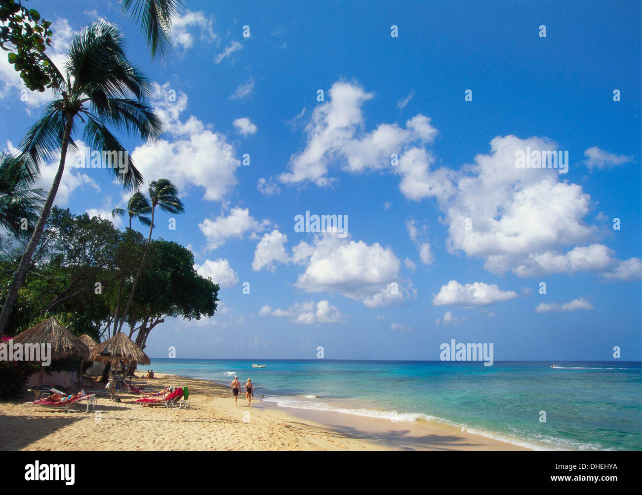 Beach at Paynes Bay, Barbados, Caribbean Stock Photo - Alamy