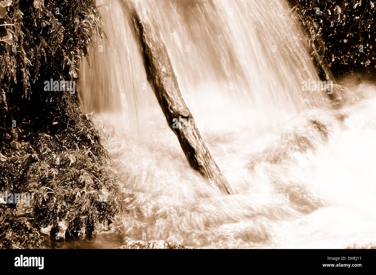 Wood caught in the waterfall sepia Stock Photo - Alamy