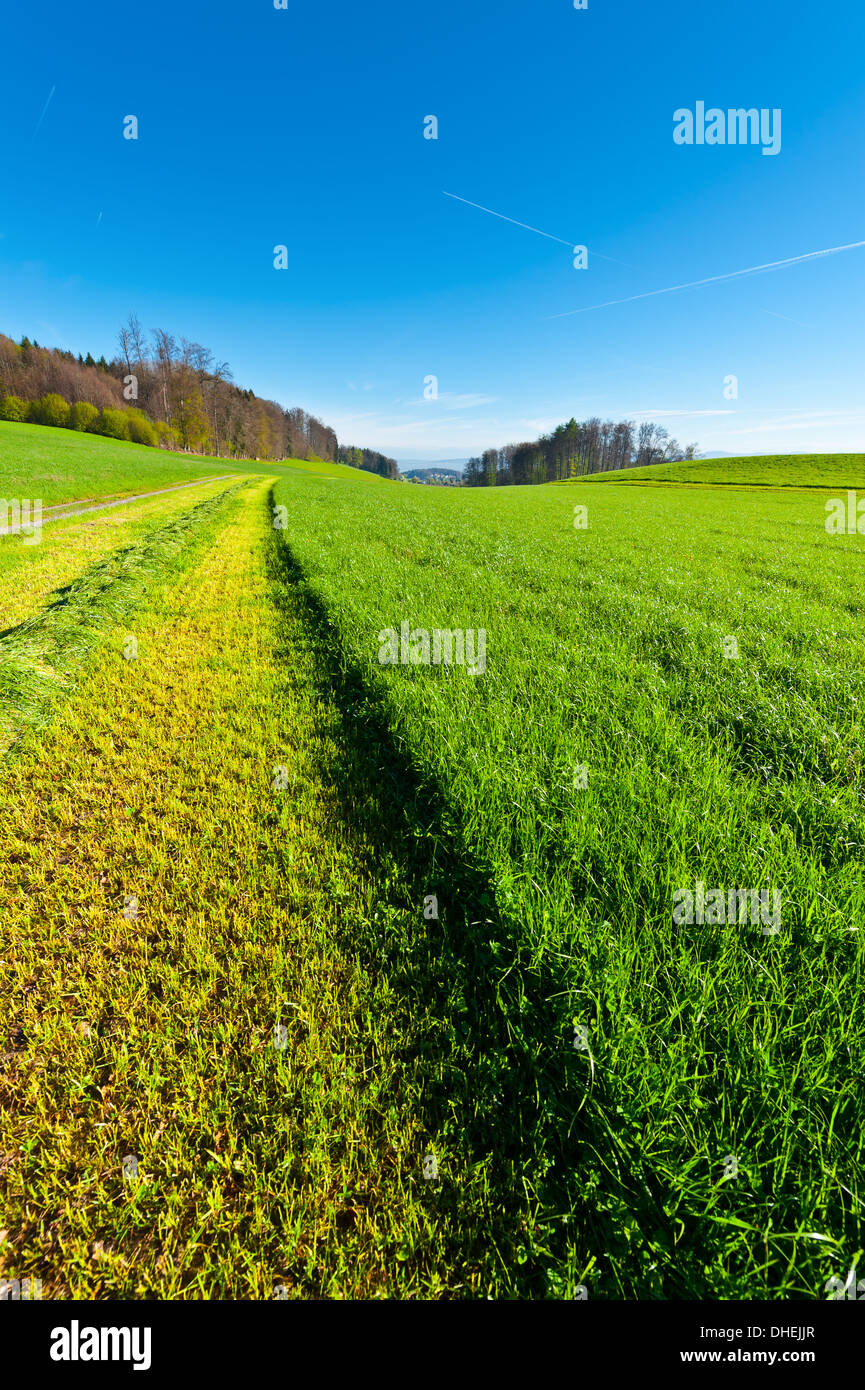 Old crop lines hi-res stock photography and images - Alamy