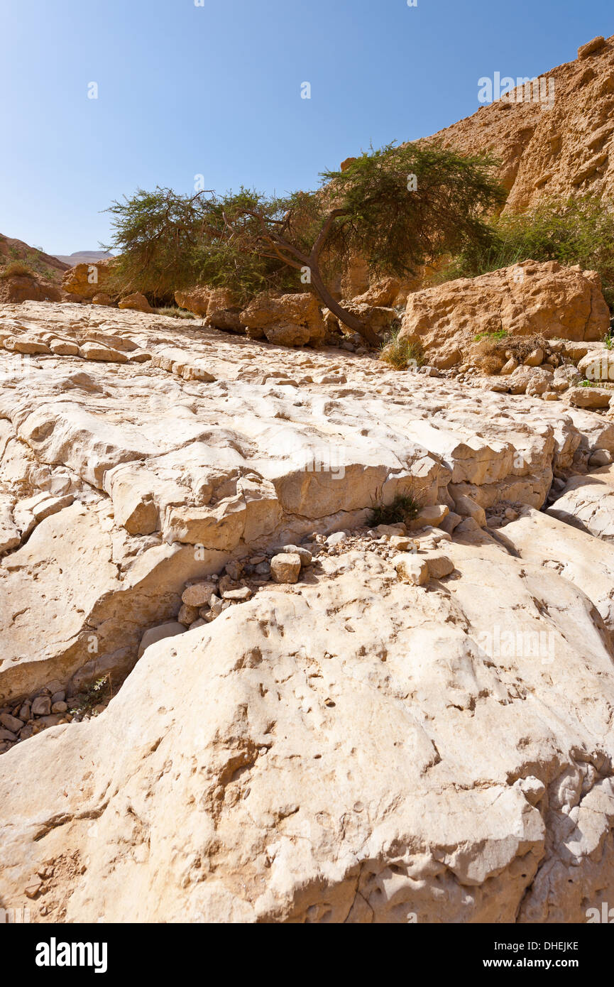 Stones in Desert Stock Photo - Alamy