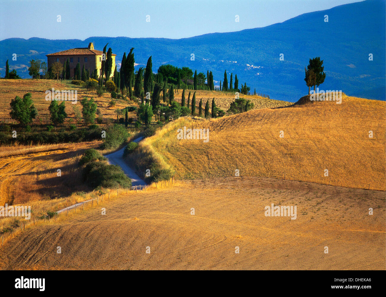 Siena countryside hi-res stock photography and images - Alamy