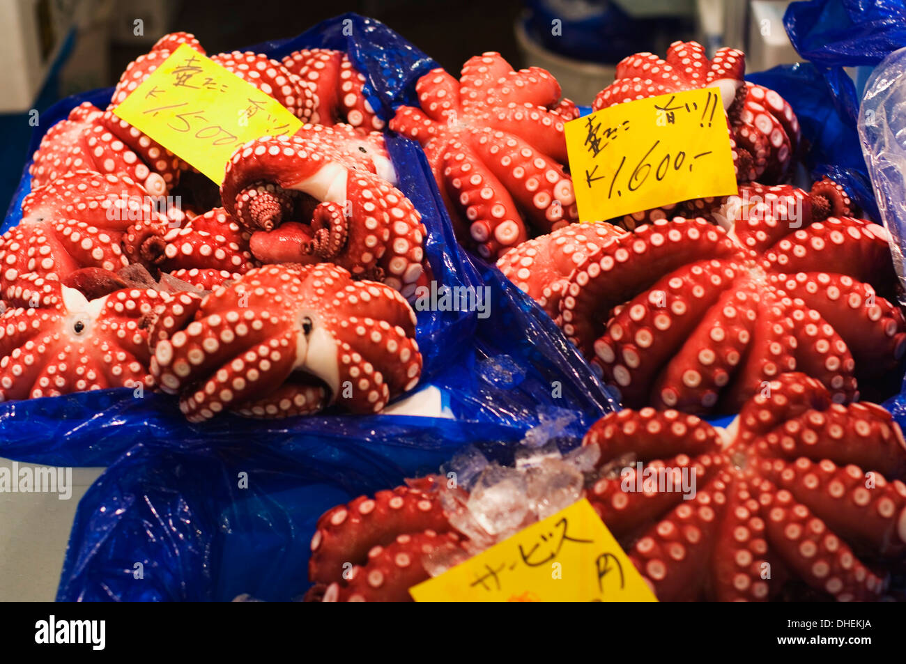 Octopus at Tsukiji fish market, Tokyo, Honshu Island, Japan, Asia Stock ...