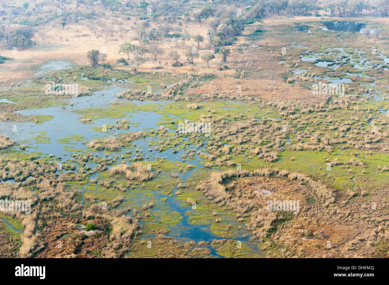 Aerial view of Okavango delta, Botswana, Africa Stock Photo - Alamy