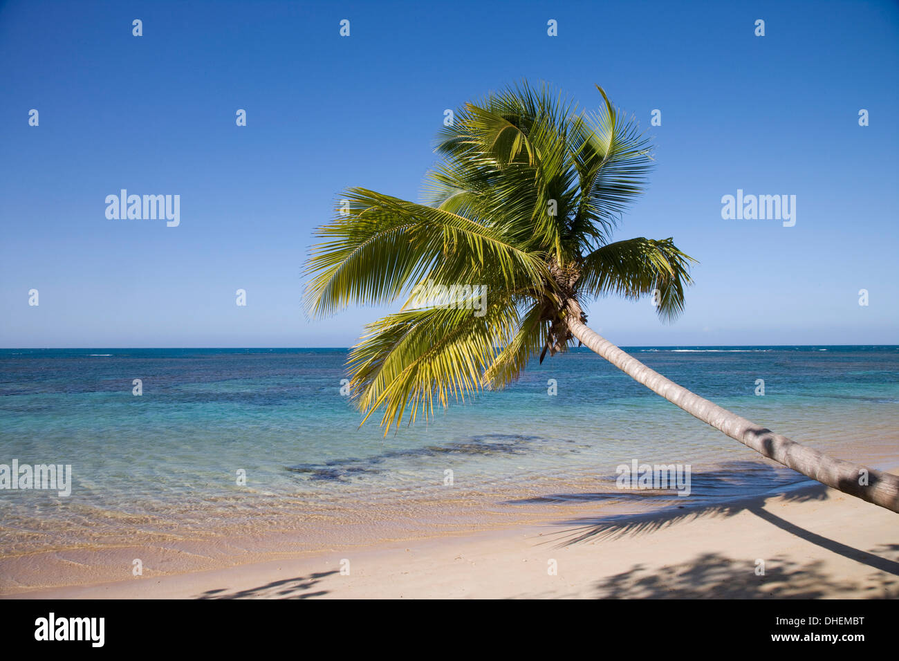 Las Terrenas, Samana Peninsula, Dominican Republic, West Indies ...