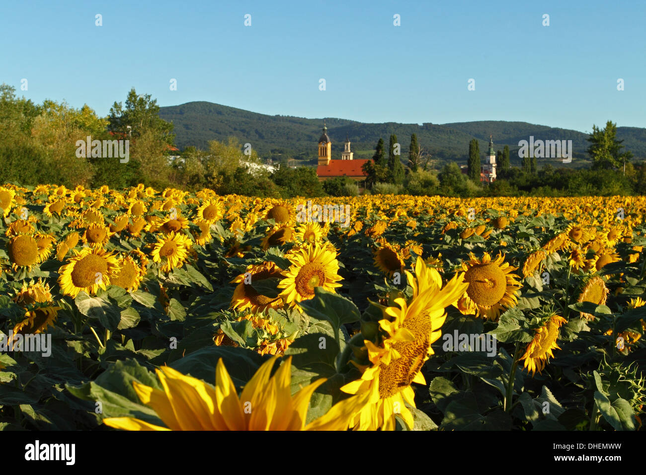 Modra hi-res stock photography and images - Alamy