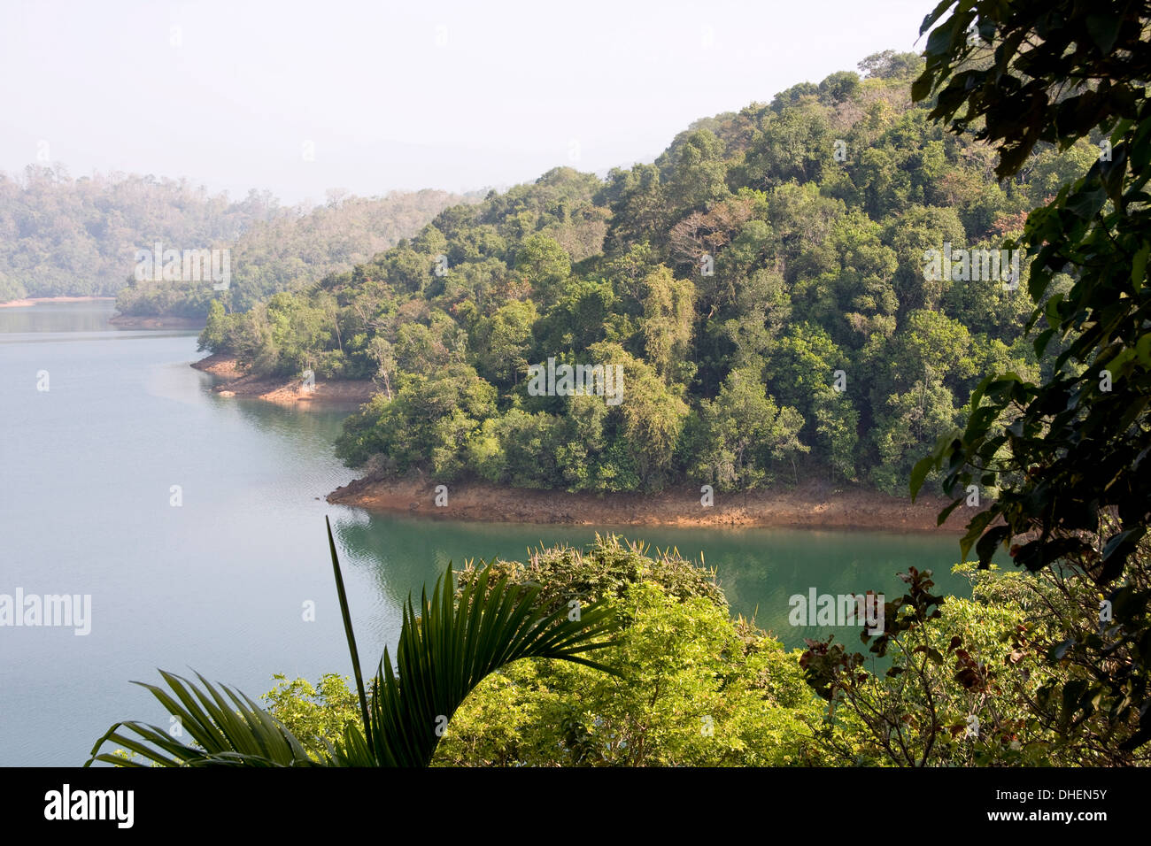 Neyyar wildlife sanctuary india hi-res stock photography and images - Alamy