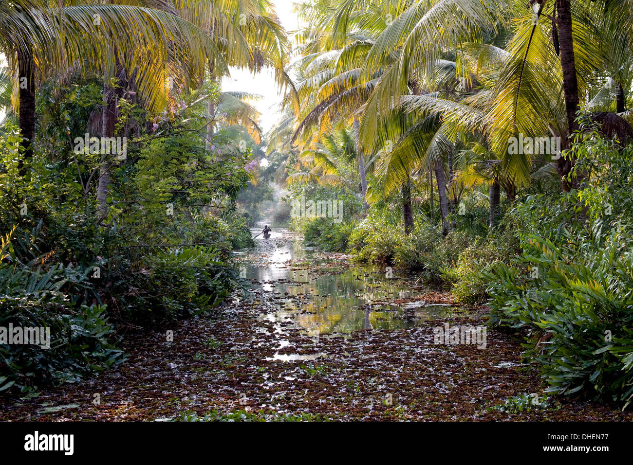 Backwaters, Vaikom, Kerala, India, Asia Stock Photo - Alamy