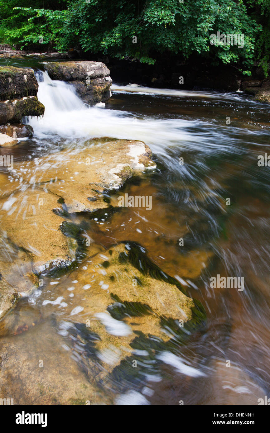 Swinithwaite hi-res stock photography and images - Alamy