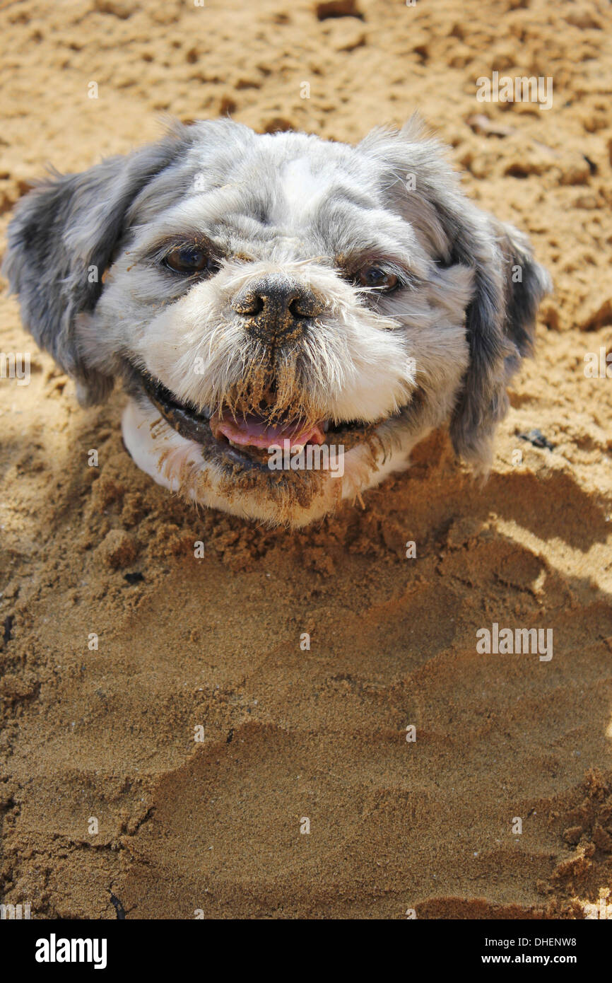 Sand smile hi-res stock photography and images - Alamy