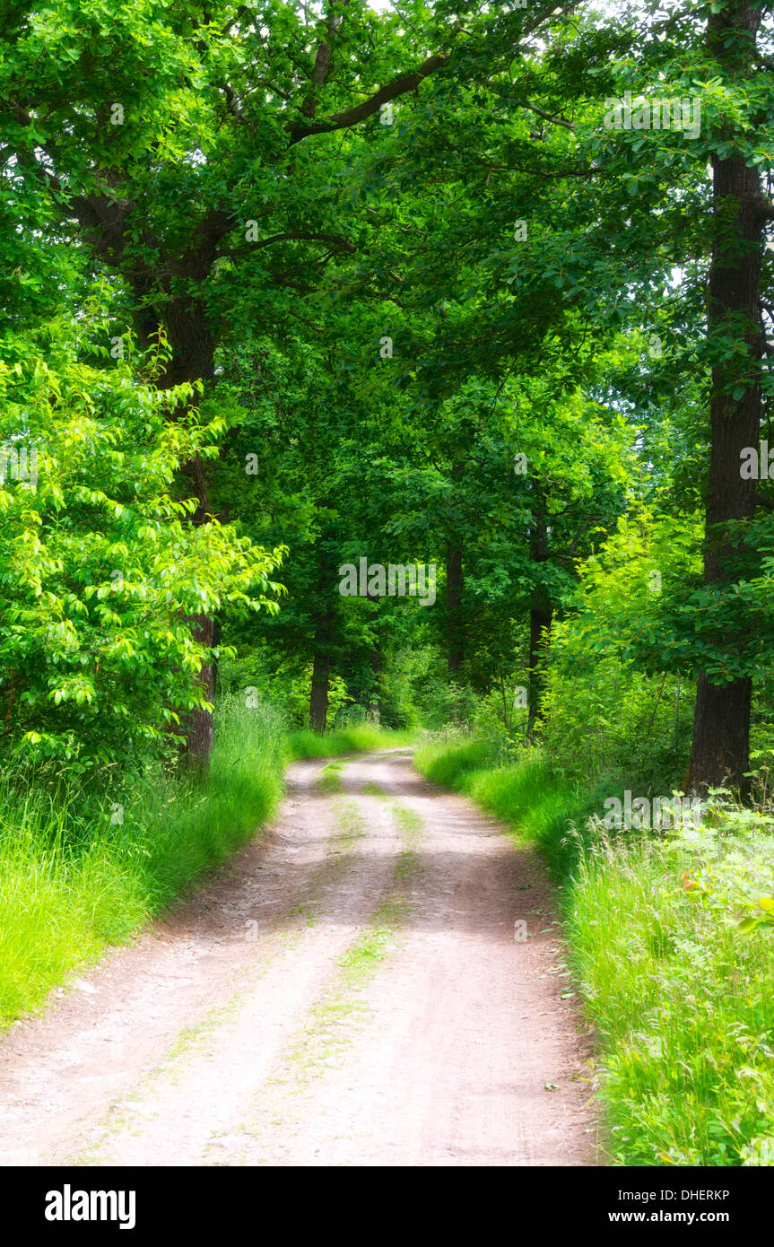 Valley of the green trees Stock Photo - Alamy
